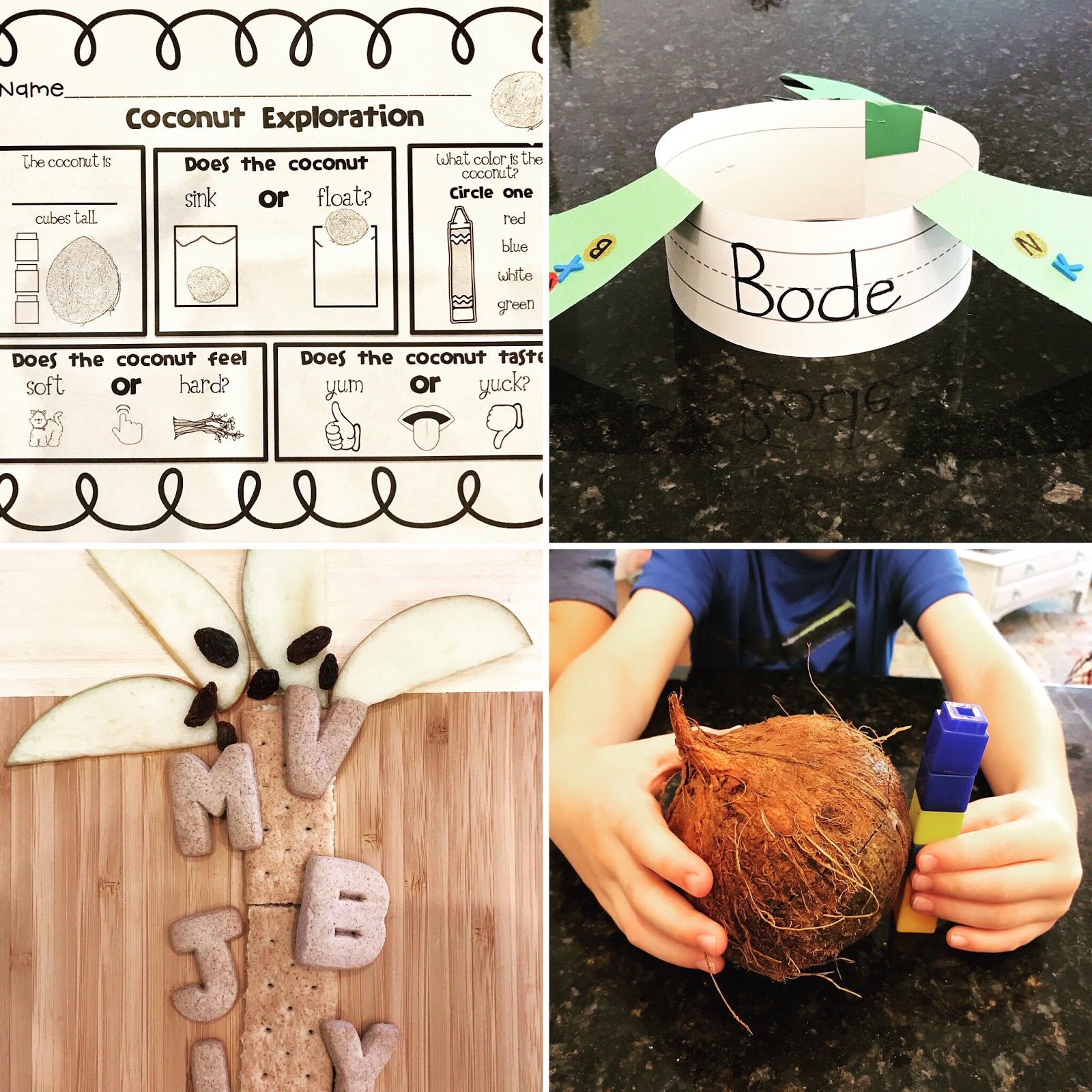 Emily Jane Creates: CHICKA CHICKA BOOM BOOM COCONUT EXPLORATION ...