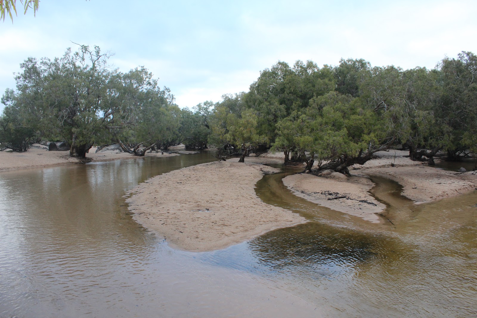 Lorelle, Mark & Bling's Blog: Archer River to Iron Range National Park