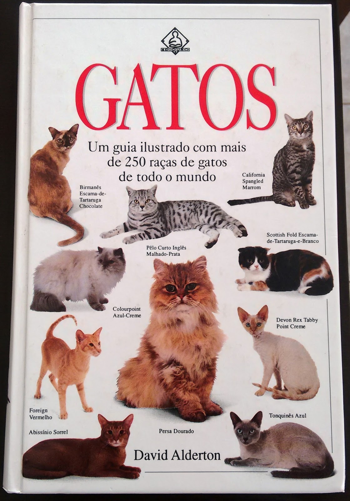 Leiturinha Diária: 5 livros para quem AMA gatos!!