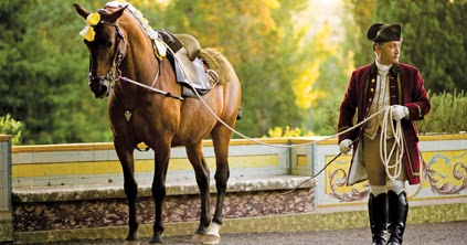 Horse Life and Love: Alter-Real Horses