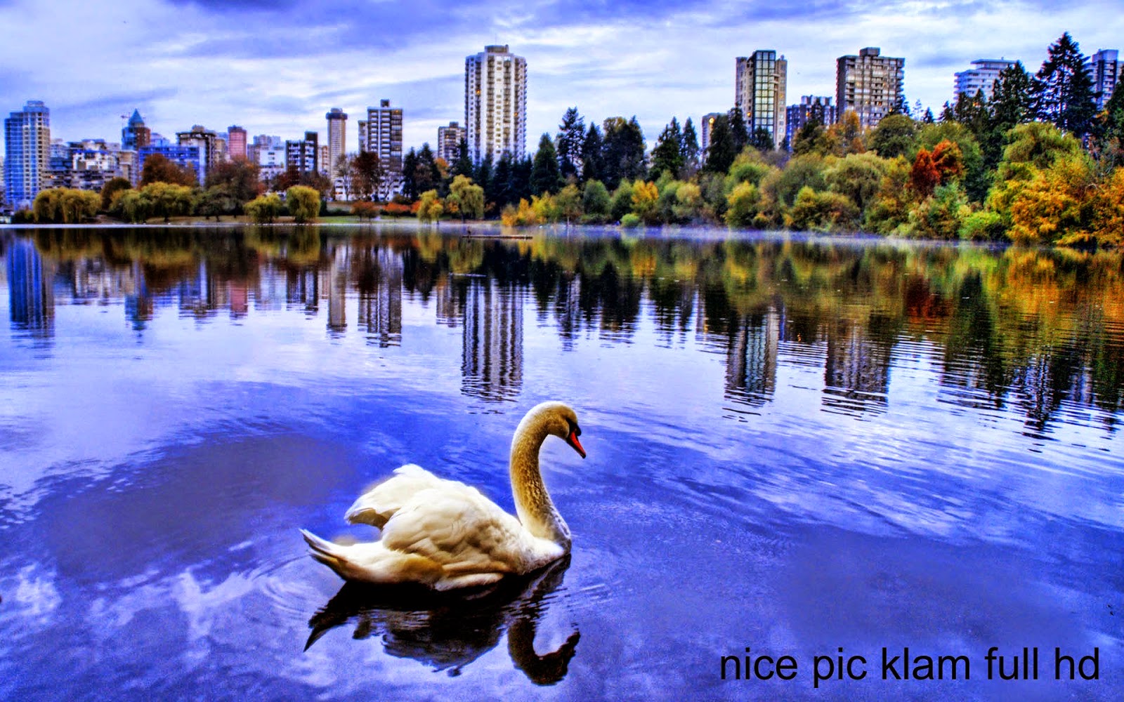 nice pic hd: FUL HD PHOTO 2014new