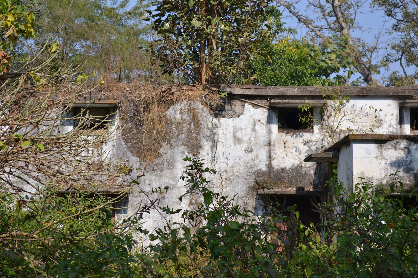 Rishikesh Inside!: Meera Behn's Kutiya