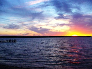 Jenis-Jenis Laut | Laut blog