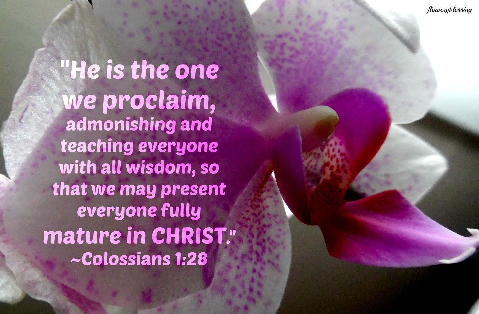 Flowery Blessing: "He is the one we proclaim, admonishing and teaching ...