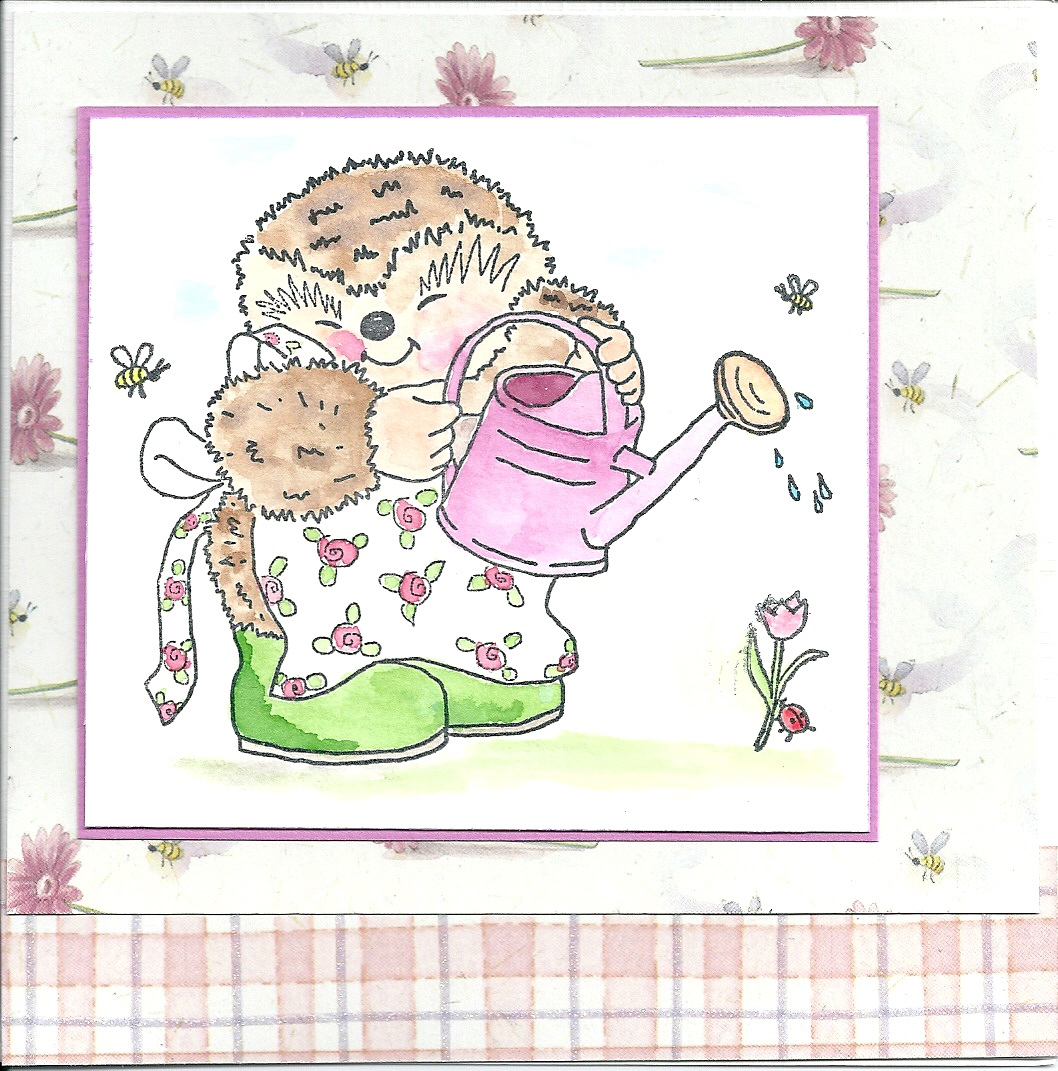 Lizzy's hoekje: Ed the hedgehog