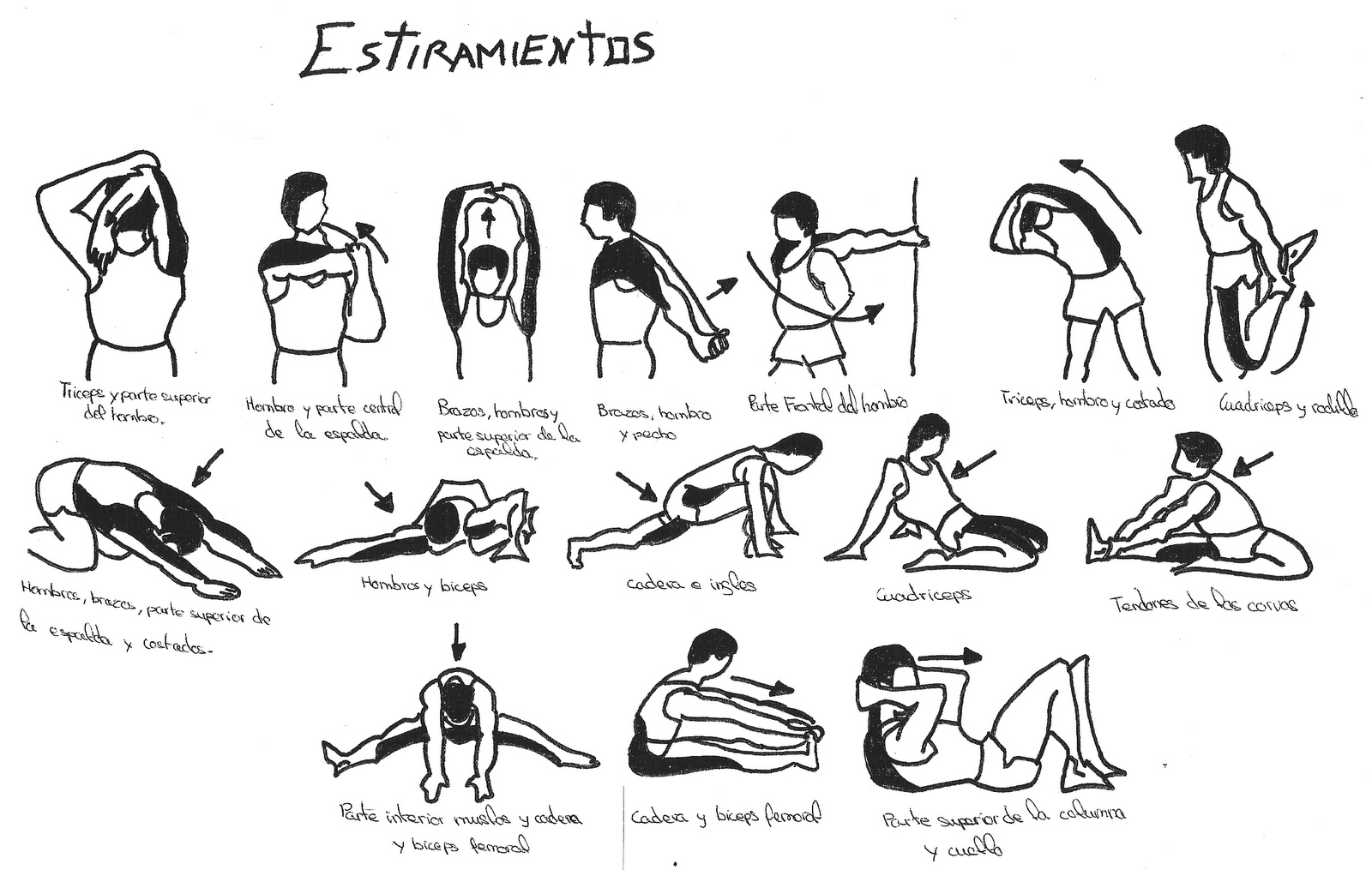 MENTE SANA Y CUERPO SANO: CALENTAMIENTO GENERAL Y ESPECÍFICO 17 - 11 - 2015