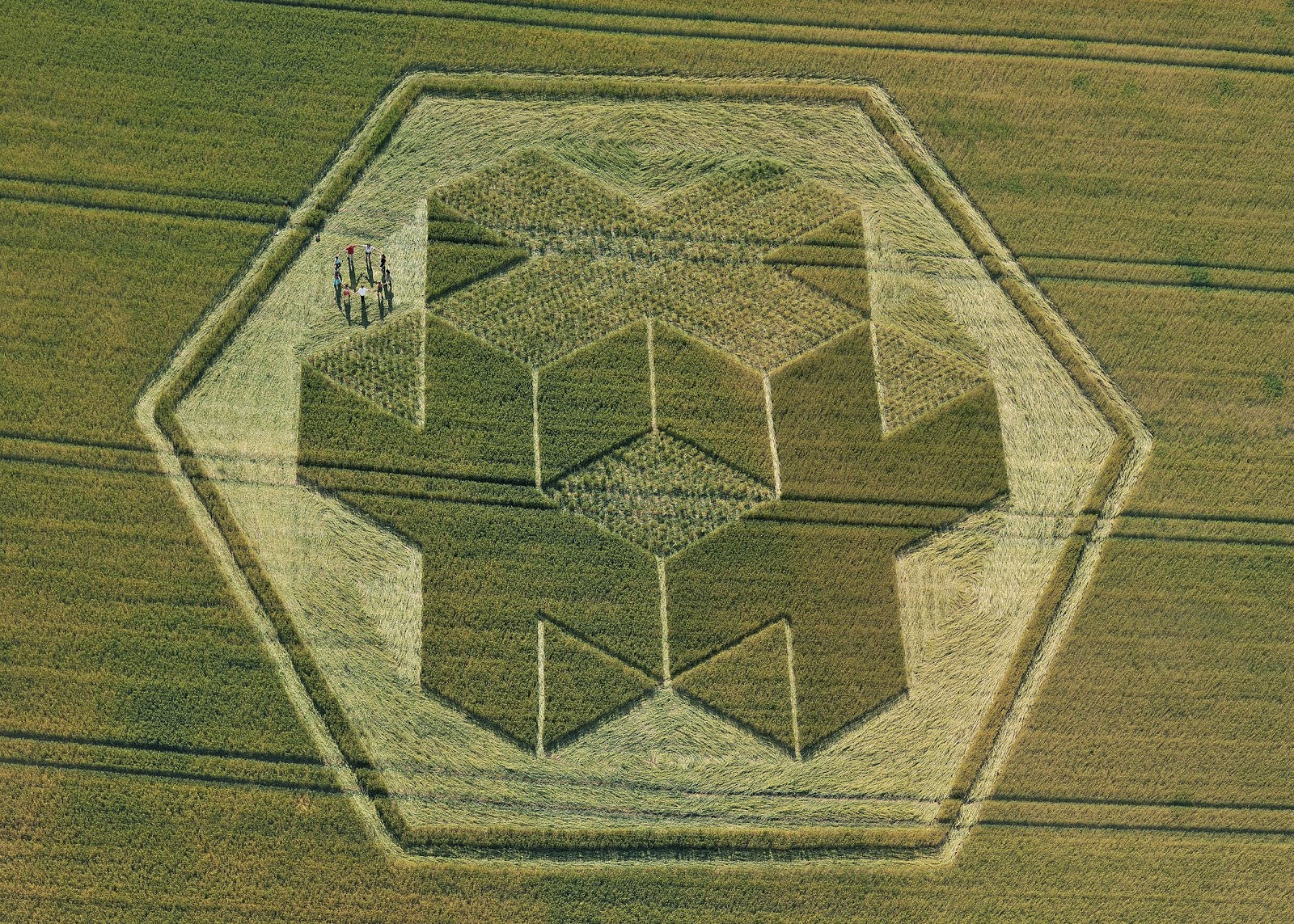 LES SECRETS DE PANDORA: AGROGLYPHES aussi connus comme CROP CIRCLES