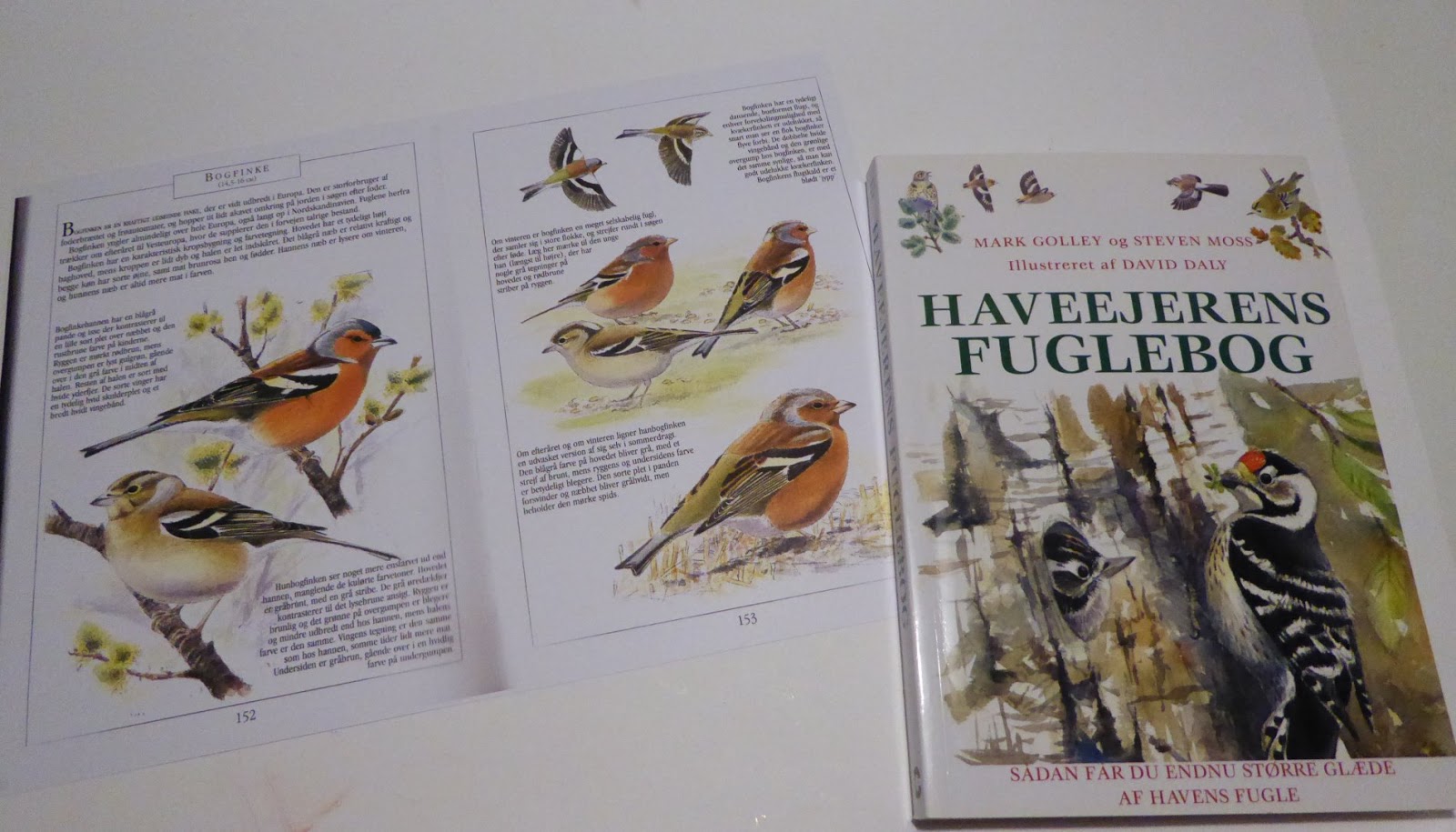 Fasters korthus: Hun bogfinke kort