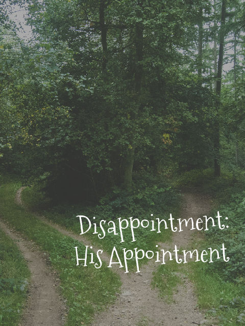 Daily Grace, Todays Godly Reminder , Bible Quotes, Verses, Prayers ...