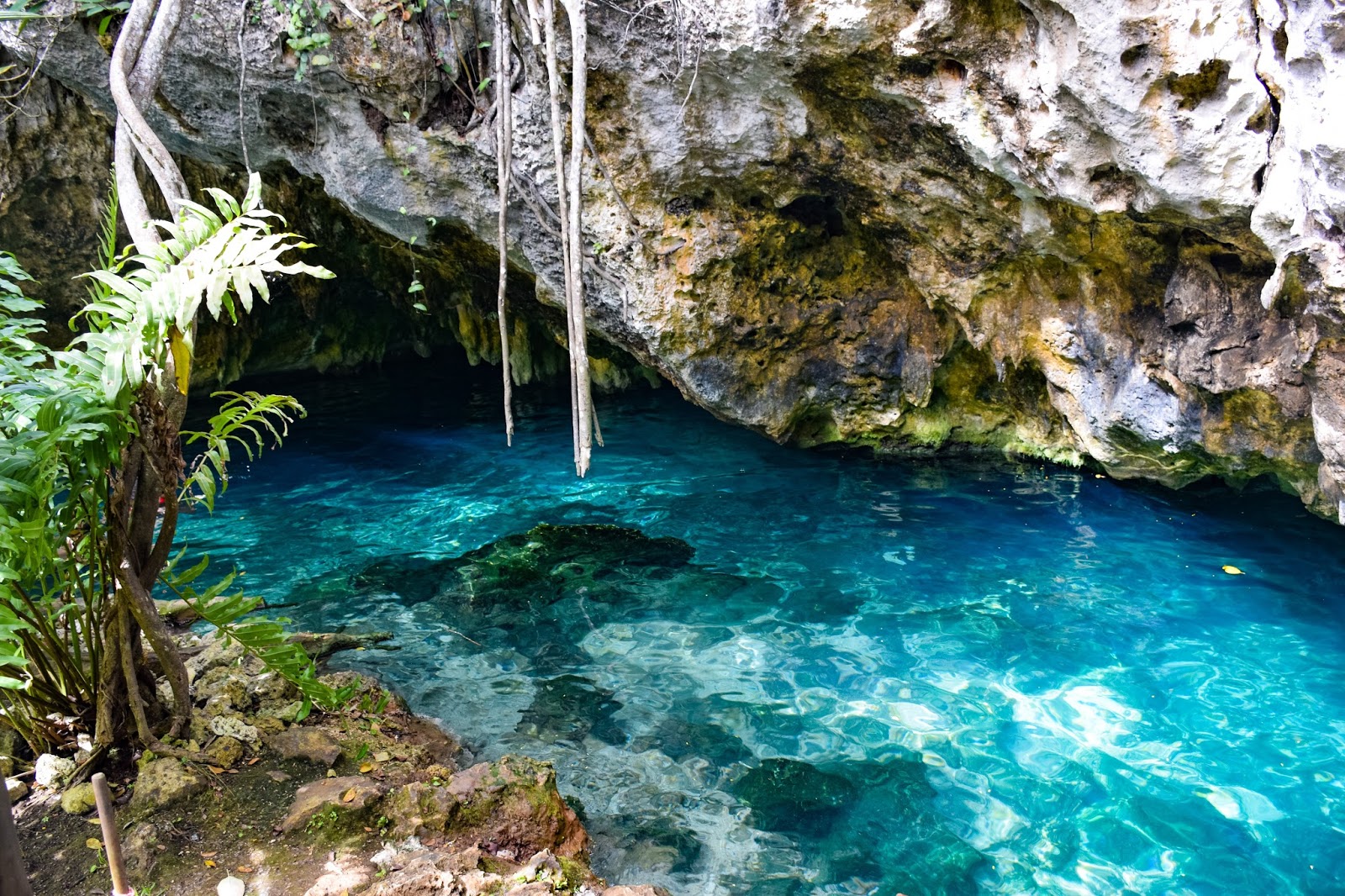 Cenote Hopping Around Tulum - A Make Believe World