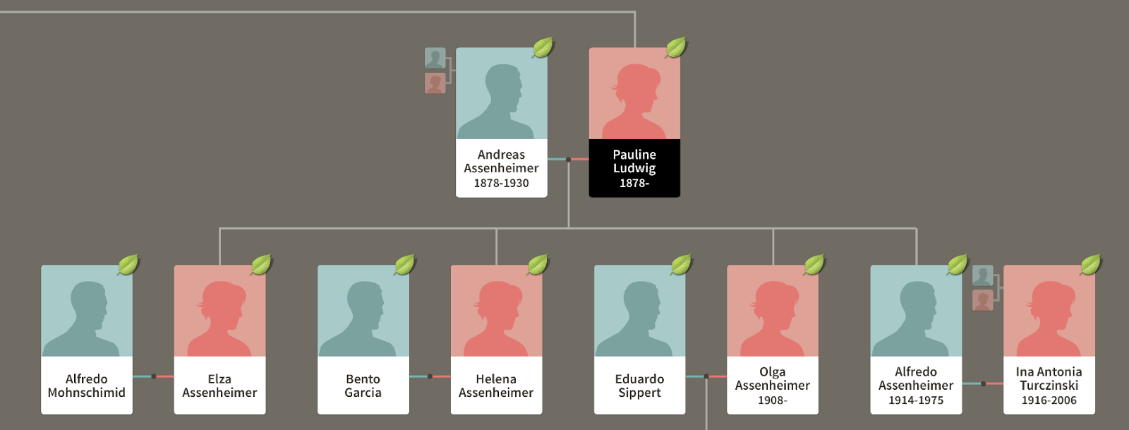 Tangled Roots and Trees: The Ludwig Breakthrough: Reporting from Brazil