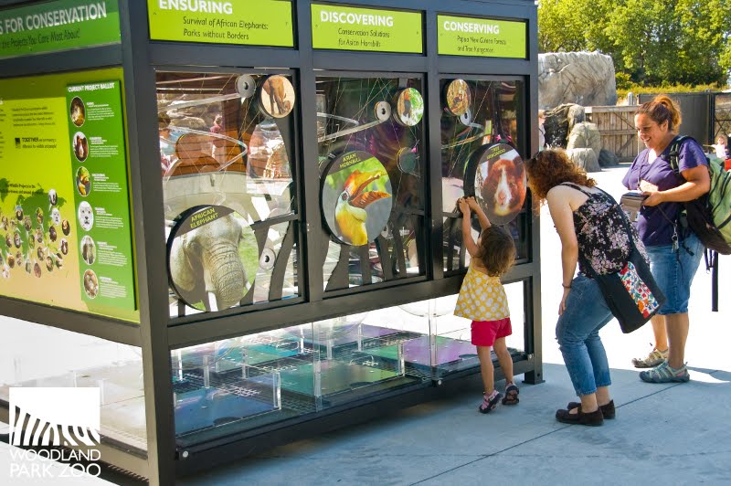 Voice your choice with Quarters for Conservation