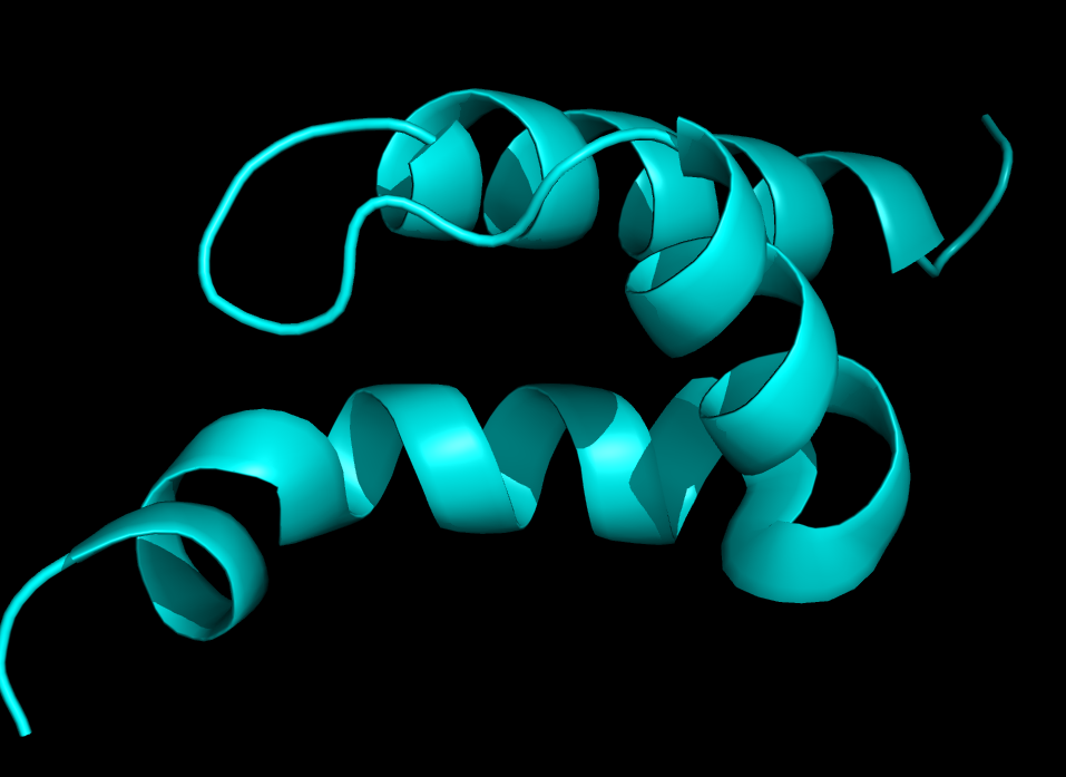 Visualizing the base-specific recognition of DNA by TAL effectors ...
