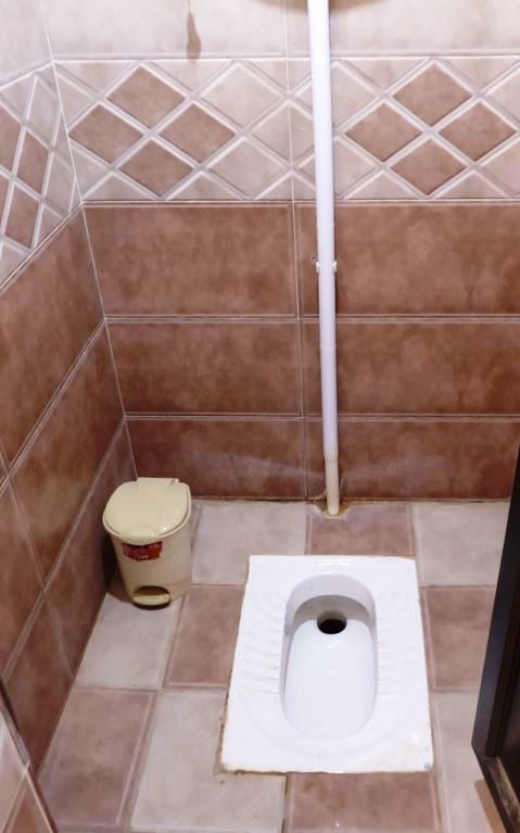 Rheumatologe: Toilets for the Traveller in Iran