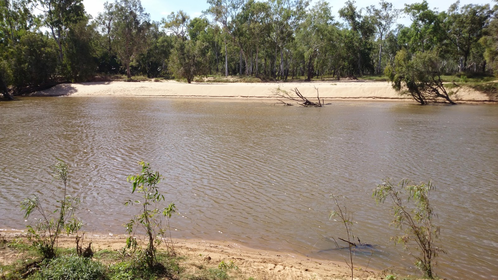 Cooper's Cape York Adventures 2014: Day 6 Cooktown to Kalpowar Crossing ...