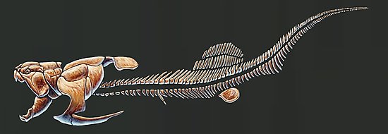 Dinosaurios y Vida Prehistórica: DUNKLEOSTEUS.