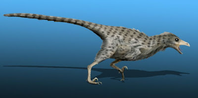 Poké-Biologia[Uranium]: Raptorch ~ Universo Pokémon