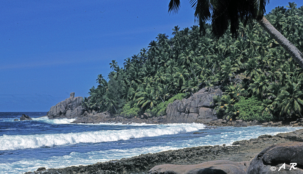Des voyages de notre jeunesse ...: Les Seychelles