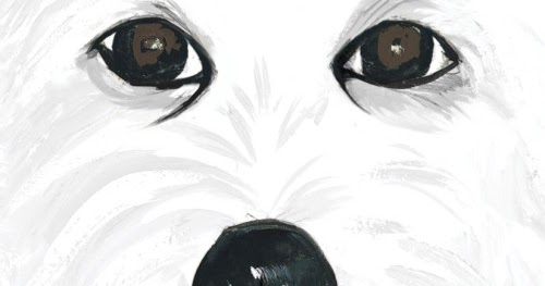 Two Reflective Teachers: Maxi's Secrets by Lynn Plourde