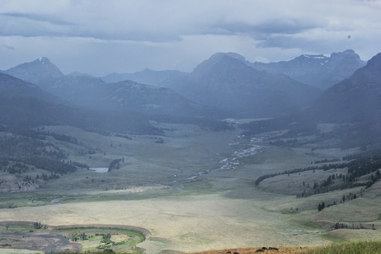 A Yellowstone Summer : Specimen Ridge