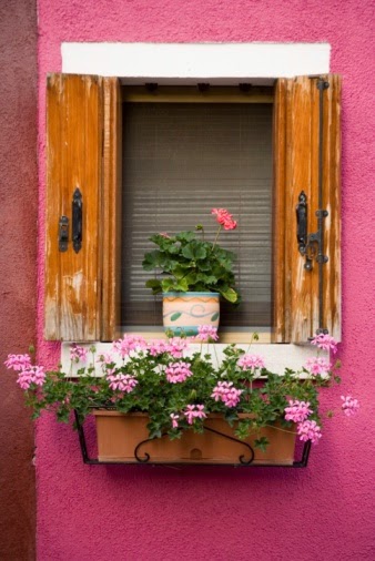 Donna's Art at Mourning Dove Cottage: Cottage window boxes