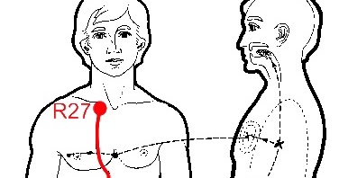 Medicina Tradicional China: Meridiano del Riñón