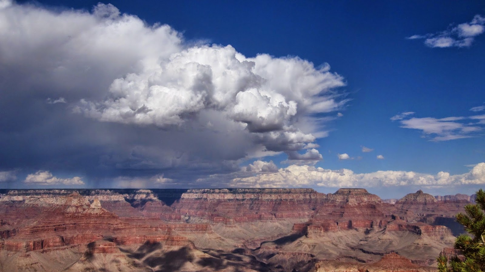 A Plein Air Painter's Blog - Michael Chesley Johnson: Grand Canyon ...