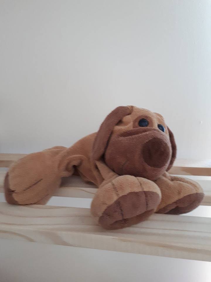 Kismet's Companion: A True Toy Story