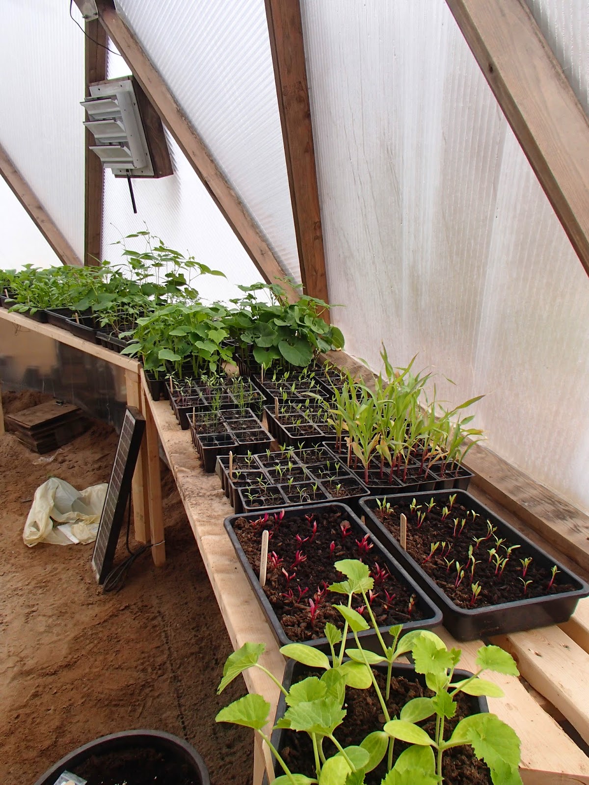 Ridge Berry Farm: Seeding the Growing Dome