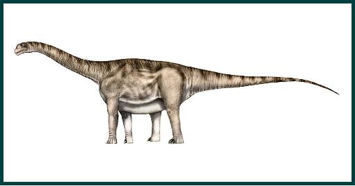 Aragosaurus : Dinosaurios del mundo