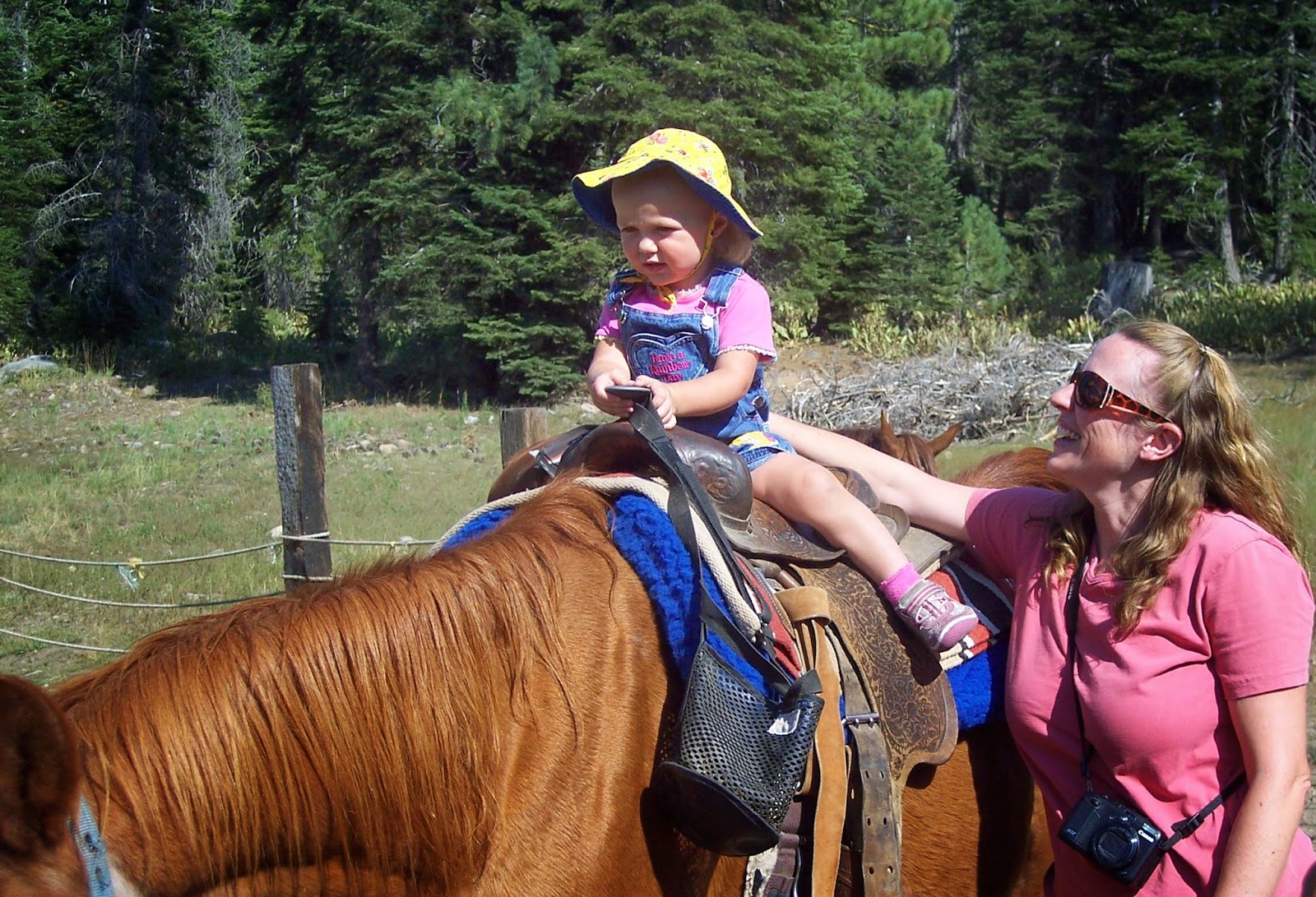 The Traveling SideShow: Stone Ponies Ride Free.................. -12th ...