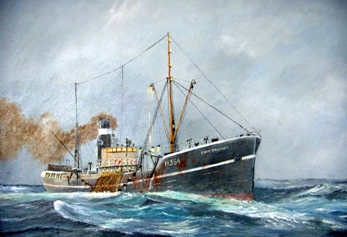 transpress nz: the Cape Palliser