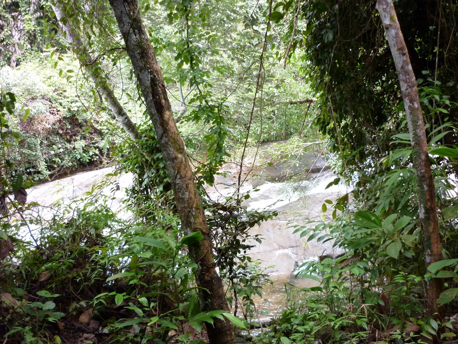 Amazed by Sarawak: The Future Prospect of Jangkar Waterfall as an ...