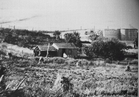 Leeson Ancestry: Murison, George, James and Elizabeth - Robert Murison ...