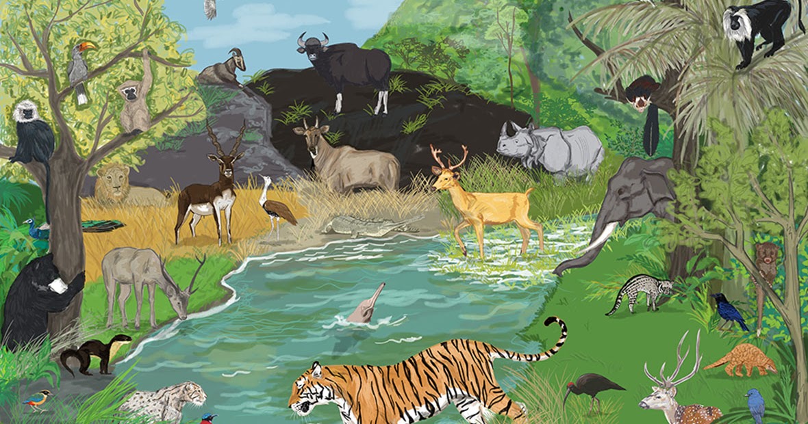 "Oh, Dakuwaqa!" - The Shark comics and cartoons: The Real Jewels of India