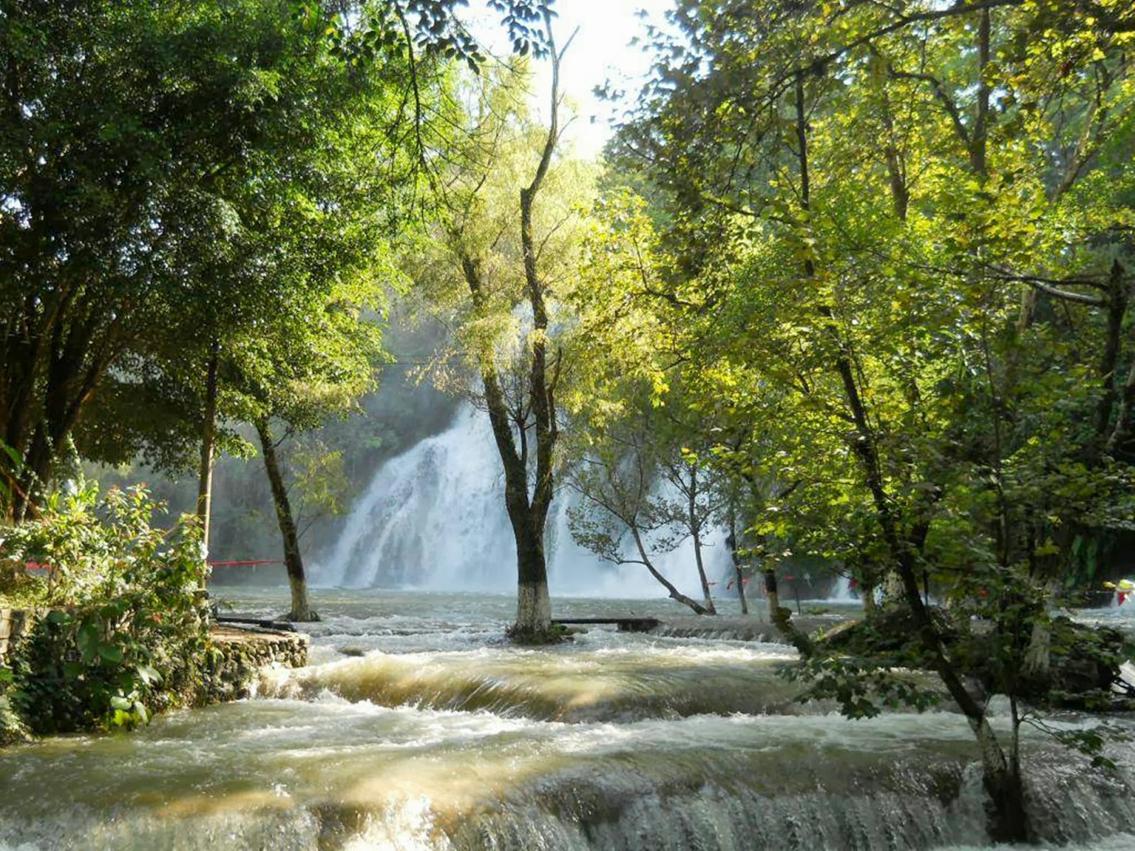 Viajar.Arte: Cascadas de Tamasopo
