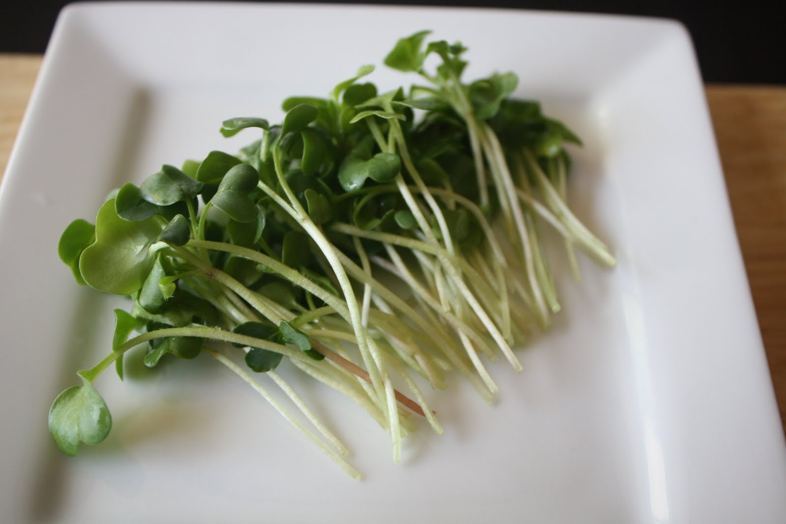 The Project Table: How I grow Radish Sprouts