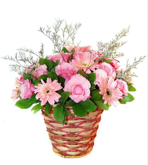 Bunga Untuk Jenguk Orang Sakit di Bandung