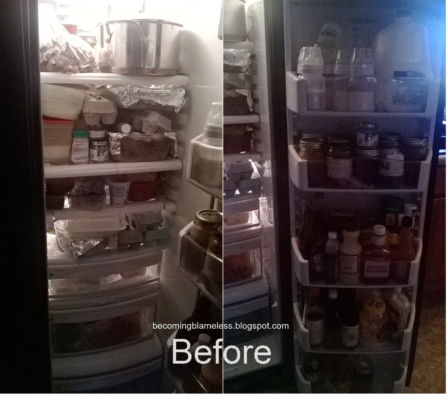 Becoming Blameless: Skeletons in My Refrigerator- Organizing Time!!