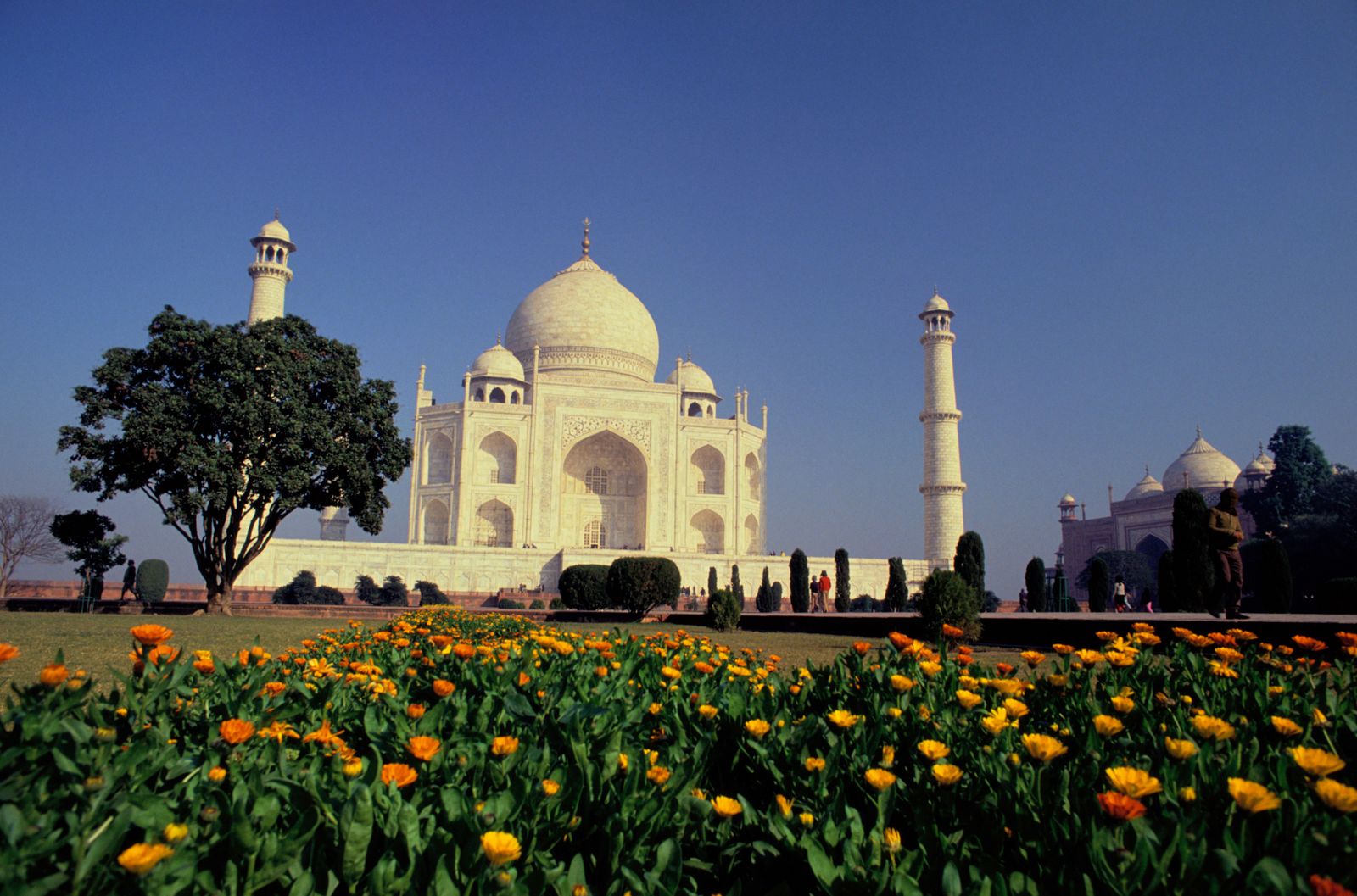 Índia: IMAGENS DA ÍNDIA!