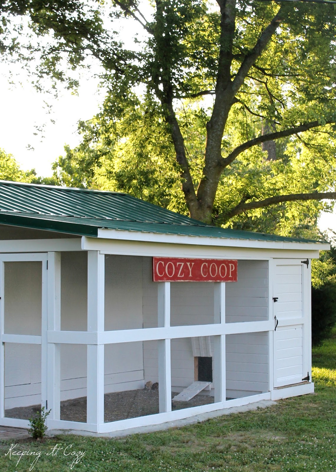 Keeping It Cozy: The Cozy Coop