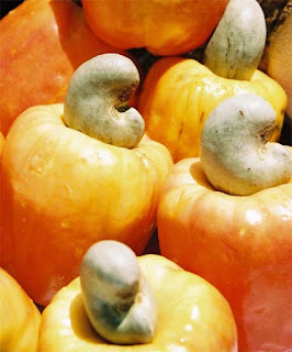 On my way to Carioca: Cacau, Cupuaçu, Caju:)