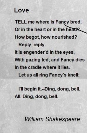 Rules in Poetry Translation - Translation Study