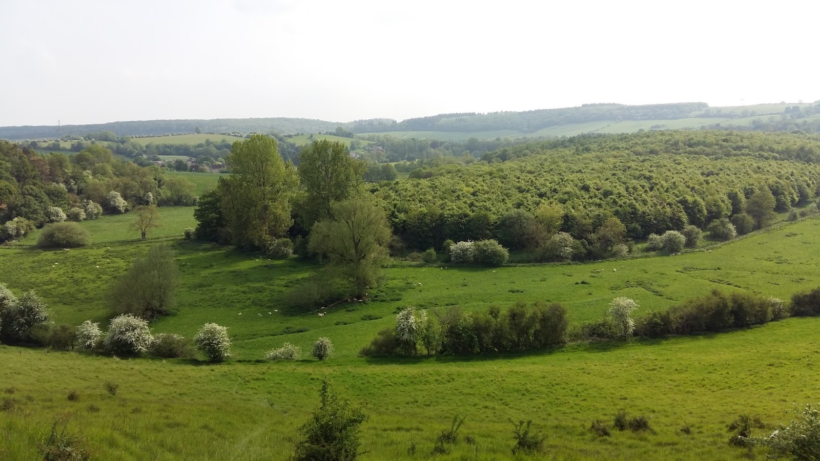 Cotswolds Travel: Shipton Oliffe & Withington Circular