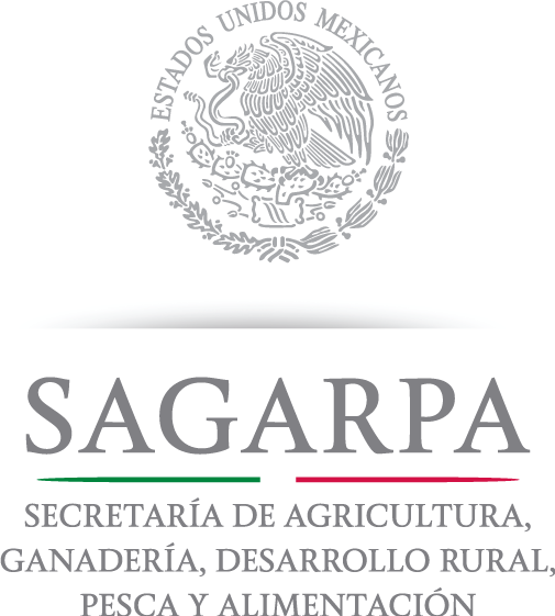 Red Mexicana por la Agricultura Familiar y Campesina: diciembre 2013