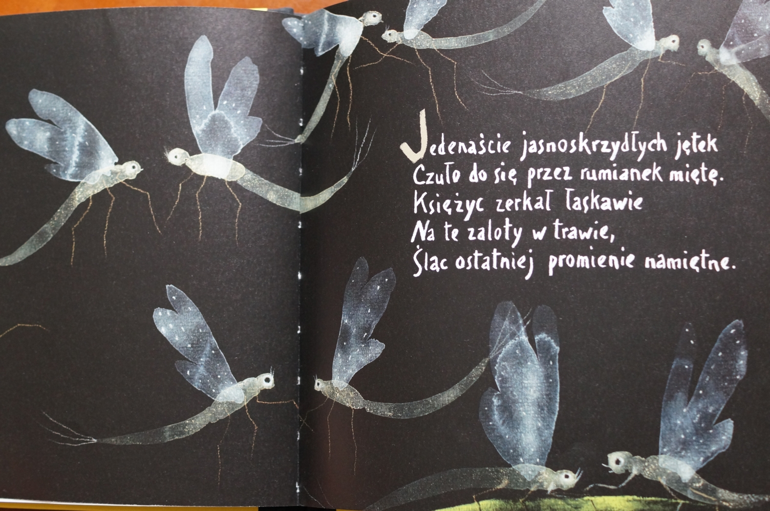 5kropek: Polscy ilustratorzy. Maria Ekier