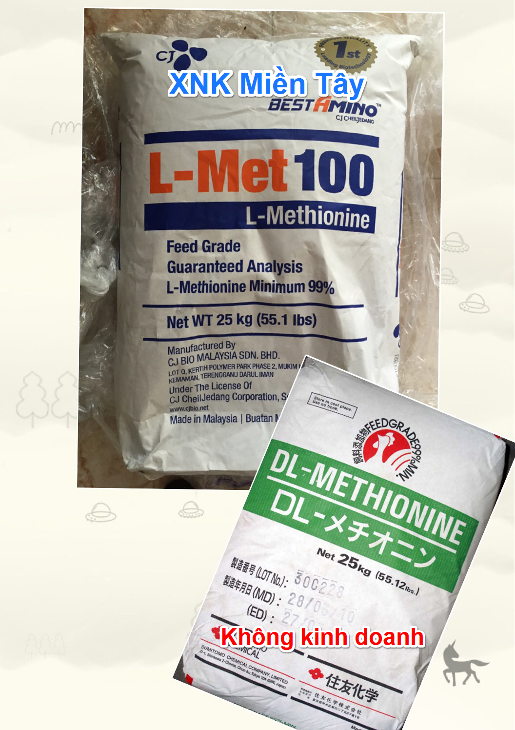 Công Ty TNHH Thương Mại Dịch Vụ Xuất Nhập Khẩu Miền Tây: Nên sử dụng L ...