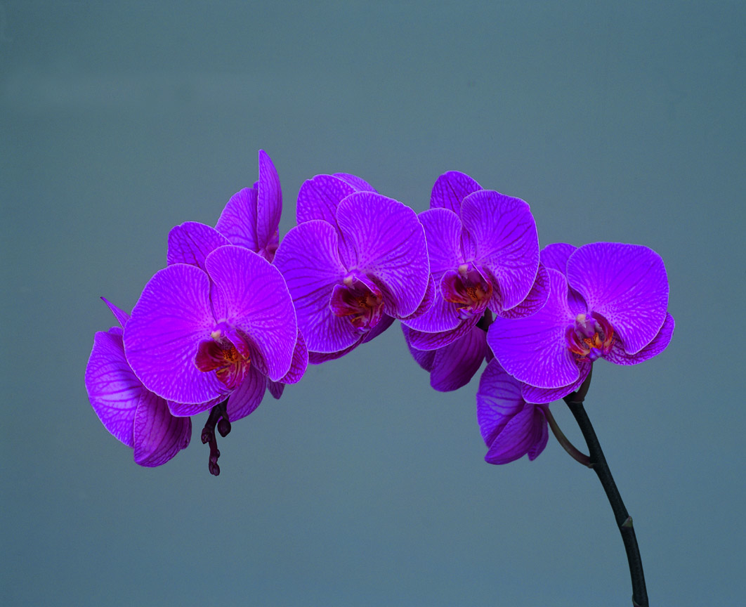 Menjawab Keraguan : Apakah Bunga Bank Termasuk Riba? - Kaos Muslim Gaul