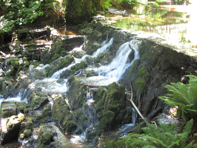 *Nina's Bargain Beauty*: Places to Go in Ireland : Dun Na Ri Forest Park