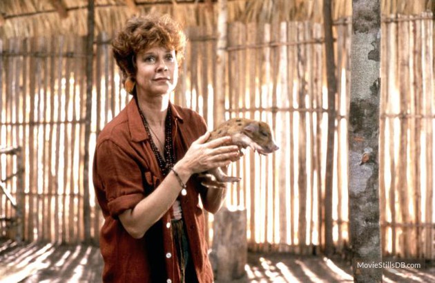 Waiching's Movie Thoughts & More : Retro Review: Jungle 2 Jungle (1997)